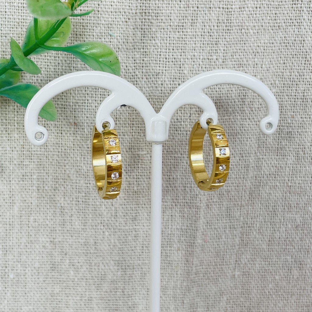 Stainless steel hoop earrings